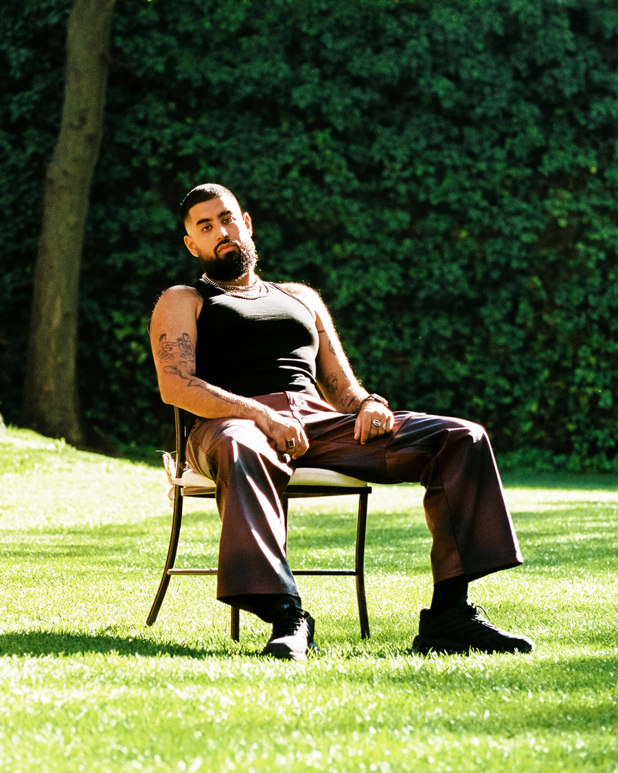 El renacimiento de Abhir Hathi